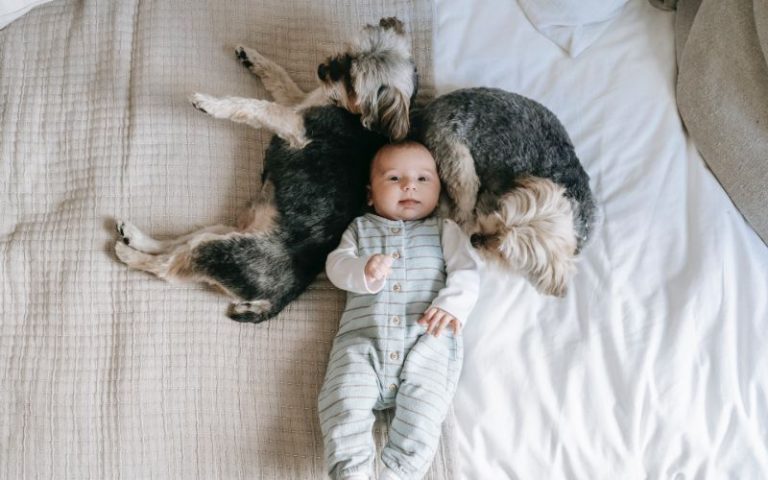 Why Does My Dog Lay on Me? 10 Surprising Reasons Why